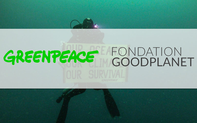 Sabau Strapping | Plus de 40 ans d'expérience dans l'industrie de l ...